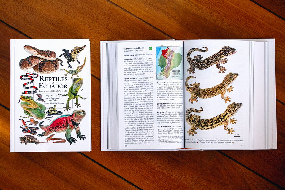 Completed projects | Khamai Foundation